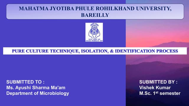 Isolation & Identification of Microorganism | PPTX