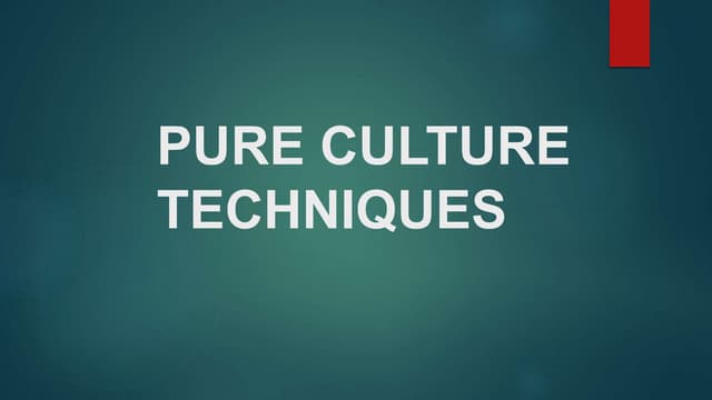 Pure culture techniques | PPTX