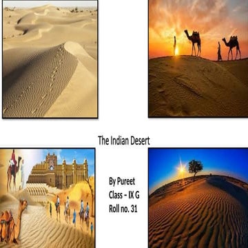 Pureet @ The Indian Desert.pptx. For class 9 | PPTX