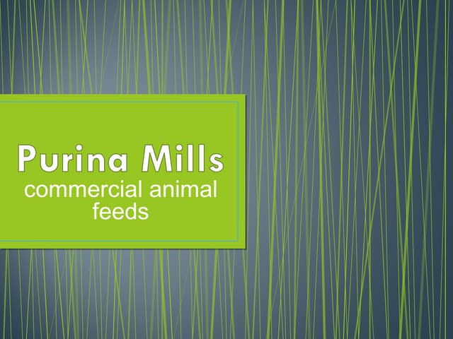 Purina Feeds Logo