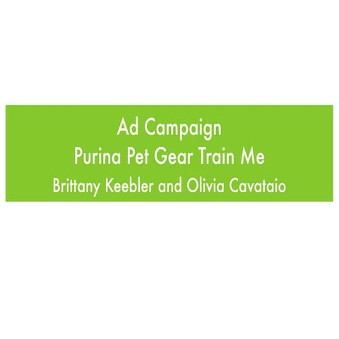 Purina Pet Advertisement Campaign | KEY