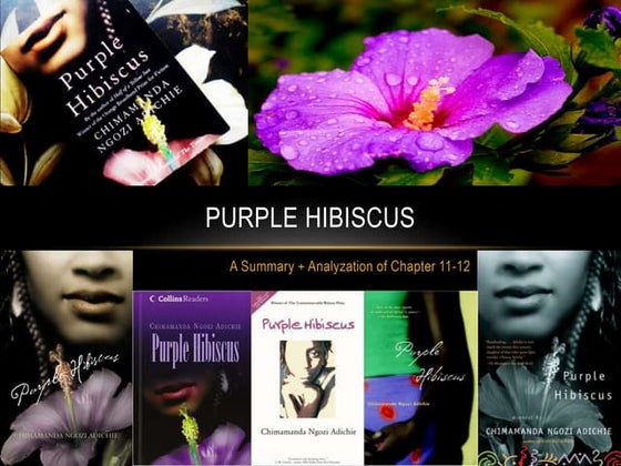 Purple-Hibiscus---Week-5.ppt | Poetry | Books and Literature