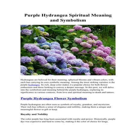 Purple Hydrangea Spiritual Meaning and Symbolism.docx
