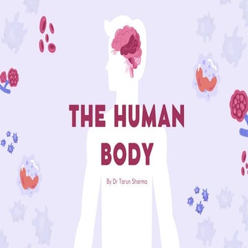 Purple Illustrative The Human Body Presentation.pdf