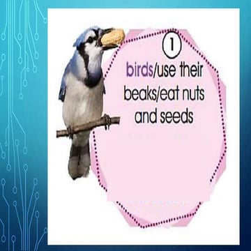 WORKSHEET TO TEACH EXPRESSING PURPOSE.pptx