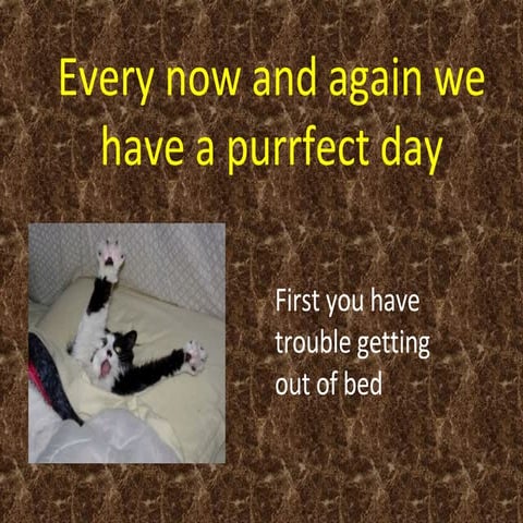 Have a Purrfect Day | PPT
