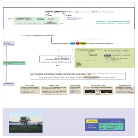 Pursuing sustainability | PDF