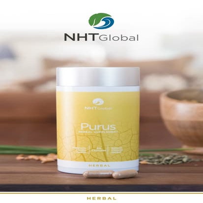 Purus NHT | PDF