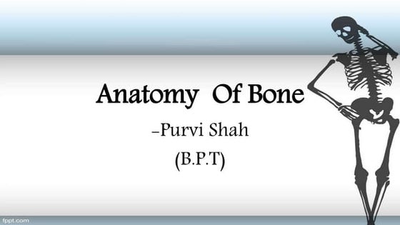 General Anatomy of Bones LT1.pdf