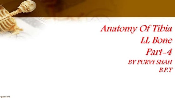 Osteology of tibia | PPTX
