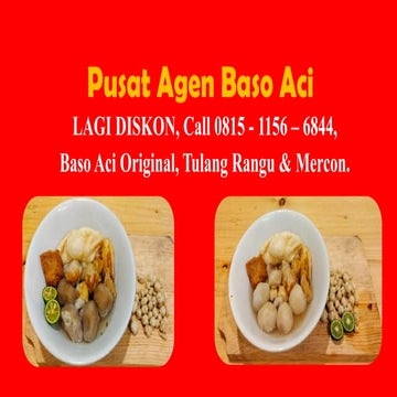 Pusat distributor baso aci | PDF