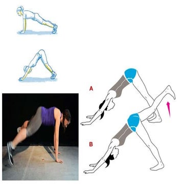 Push up position exercises | PPTX