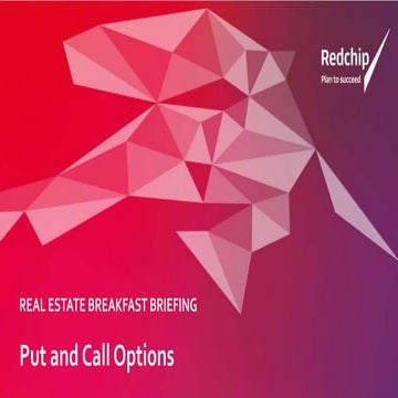 Put and call options | PPTX
