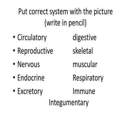 Put Correct System With The Picture (Write In Pencil) | PDF