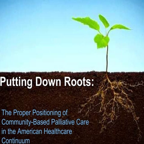Putting Down Roots: The Proper Positioning of Community-Based ...
