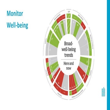 Putting well being metrics into policy action, Mike Ackermans | PPT