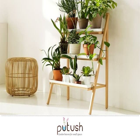 Putush - Introduction | PDF