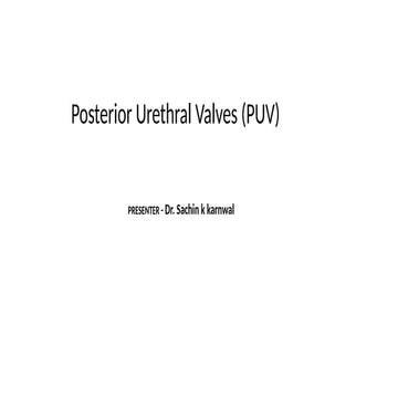 Posterior urethral valve. DR SACHIN K.pptx