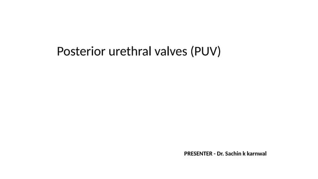Posterior urethral valve | PPTX