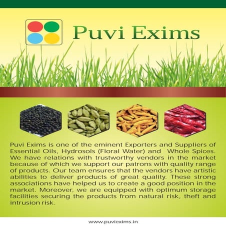 Puvi Exims Tamil Nadu India | PDF