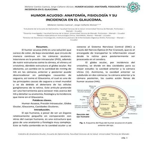 HUMOR ACUOSO: ANATOMÍA, FISIOLOGÍA Y SU INCIDENCIA EN EL GLAUCOMA | PDF