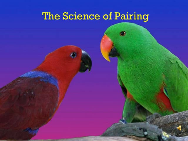 Sex Orientation Gene Ppt