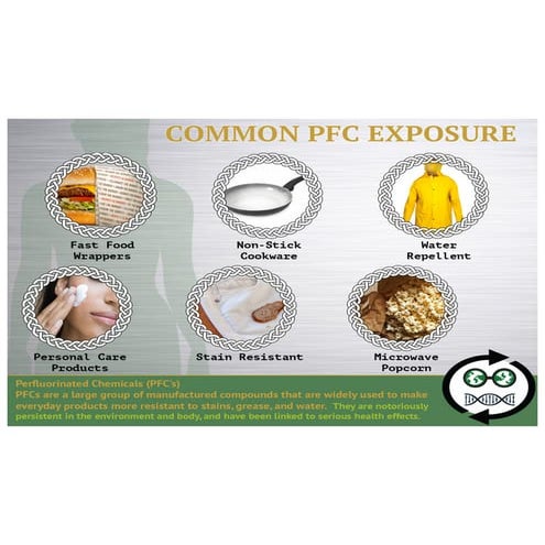 Common PFC Exposure | PDF
