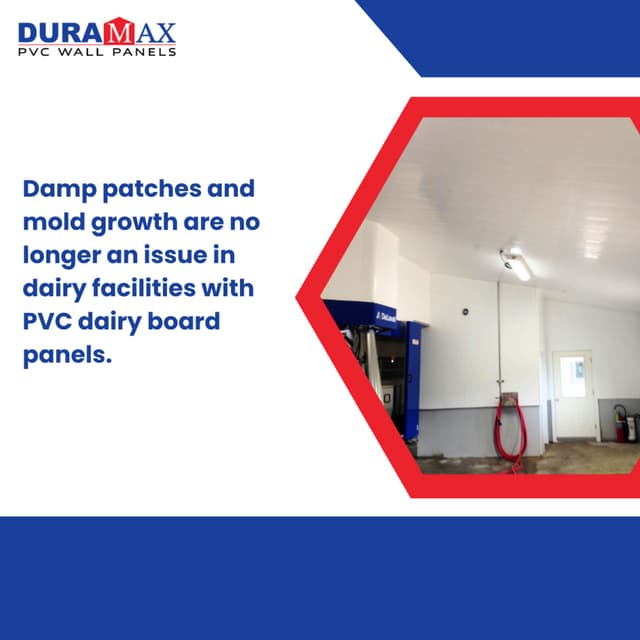 PVC Dairy Wall Panels Meet The Food Safety Standards | PDF