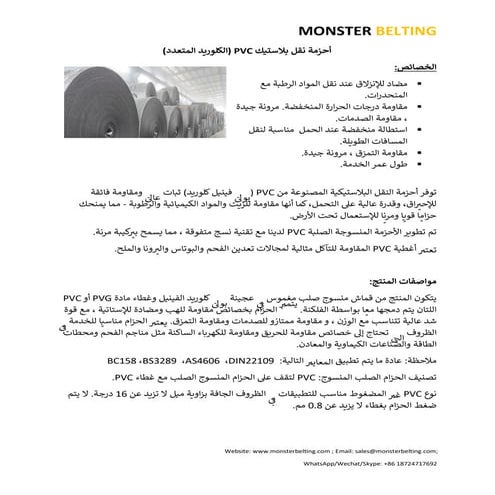 Bucket elevator belt - monster belting | PDF