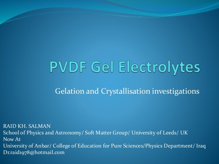 Pvdf polymer gel electrolytes