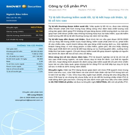 PVI-VN initial report | PDF