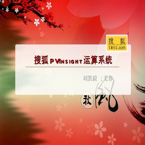 搜狐Pv insight(py)技术交流 | PPT