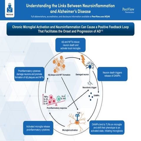 Visualizing the Role of Neuroinflammation in the Pathophysiology and ...