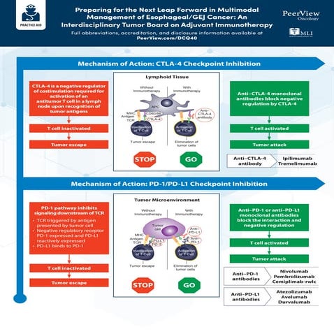 Preparing for the Next Leap Forward in Multimodal Management of ...