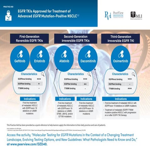 Molecular Testing for EGFR Mutations in the Context of a Changing ...