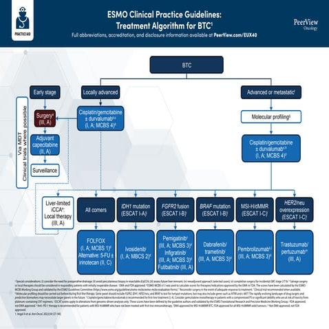Prioritising Patient-Centric Care in Biliary Tract Cancer: Leveraging ...