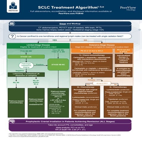 Catalysts for Change in SCLC: Optimizing the Use of Standard Therapies ...