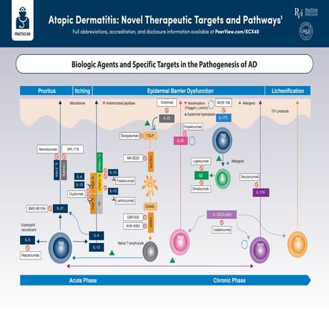 Advancing Care for People Living With Moderate to Severe Atopic ...