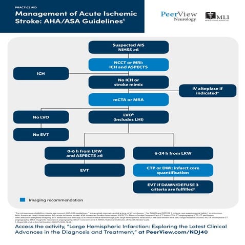 Large Hemispheric Infarction: Exploring the Latest Clinical Advances in ...