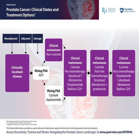 Science and Stories: Navigating the Prostate Cancer Landscape ...