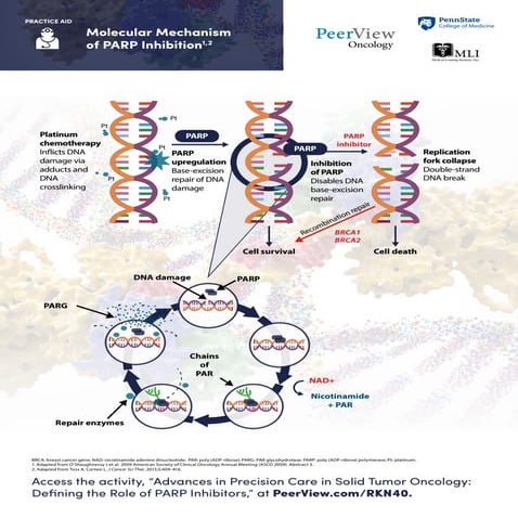 Advances in Precision Care in Solid Tumor Oncology: Defining the Role ...