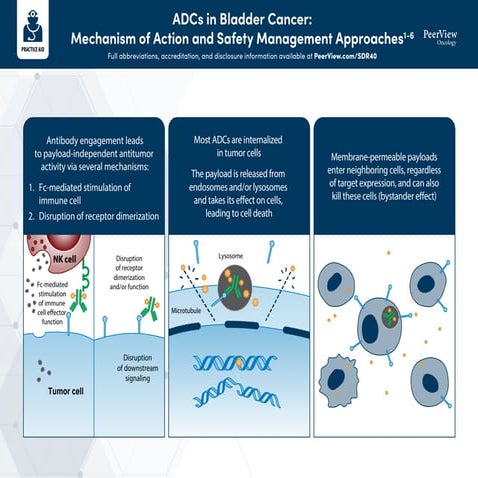 Adopting Innovation in Bladder Cancer: Aligning the Evidence on ...