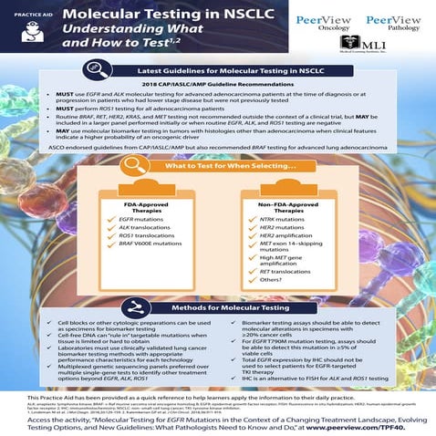Molecular Testing for EGFR Mutations in the Context of a Changing ...