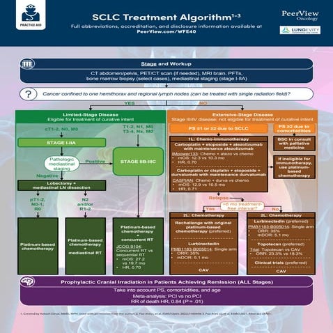 Progress on the Path to Improving Outcomes in the Treatment of SCLC ...
