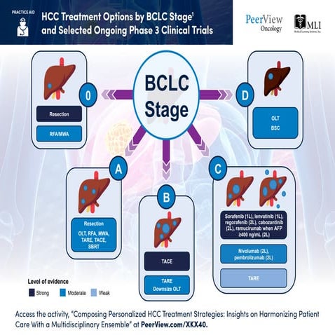 Composing Personalized HCC Treatment Strategies: Insights on ...