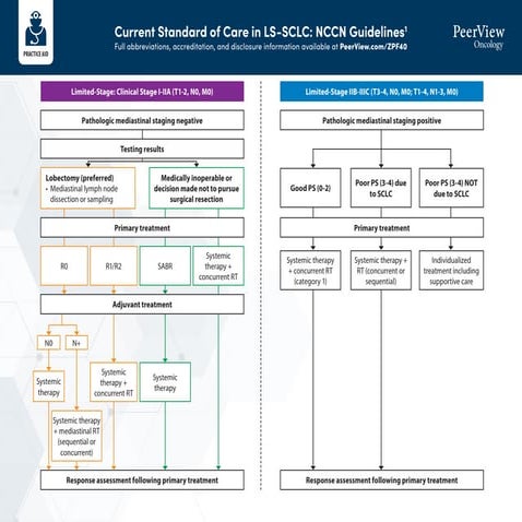 Charting a New Course in Limited-Stage SCLC Amid an Immunotherapy Sea ...