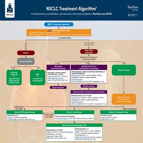 Illuminating the Path With Immunotherapy for Metastatic, Locally Advanced, and Early-Stage NSCLC ...