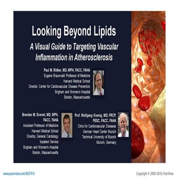 Looking Beyond Lipids: A Visual Guide to Targeting Vascular ...