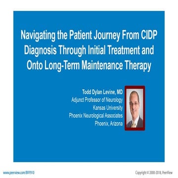 Navigating the Patient Journey From CIDP Diagnosis Through Initial ...
