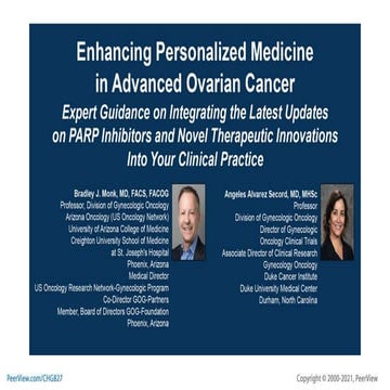 Enhancing Personalized Medicine in Advanced Ovarian Cancer: Expert ...